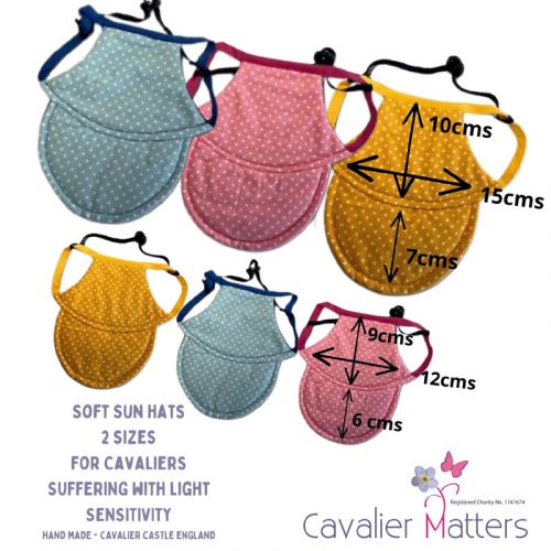 Cavalier Sun Hat for Light Sensitivity
